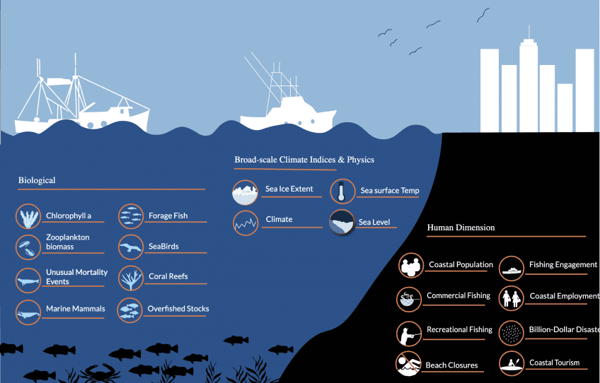 NOAA's New National Marine Ecosystem Status Web Tool - NOAA/AOML NOAA's New National Marine Ecosystem Status Web Tool - NOAA/AOML
